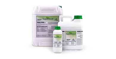 SuperRoot | Nutrien